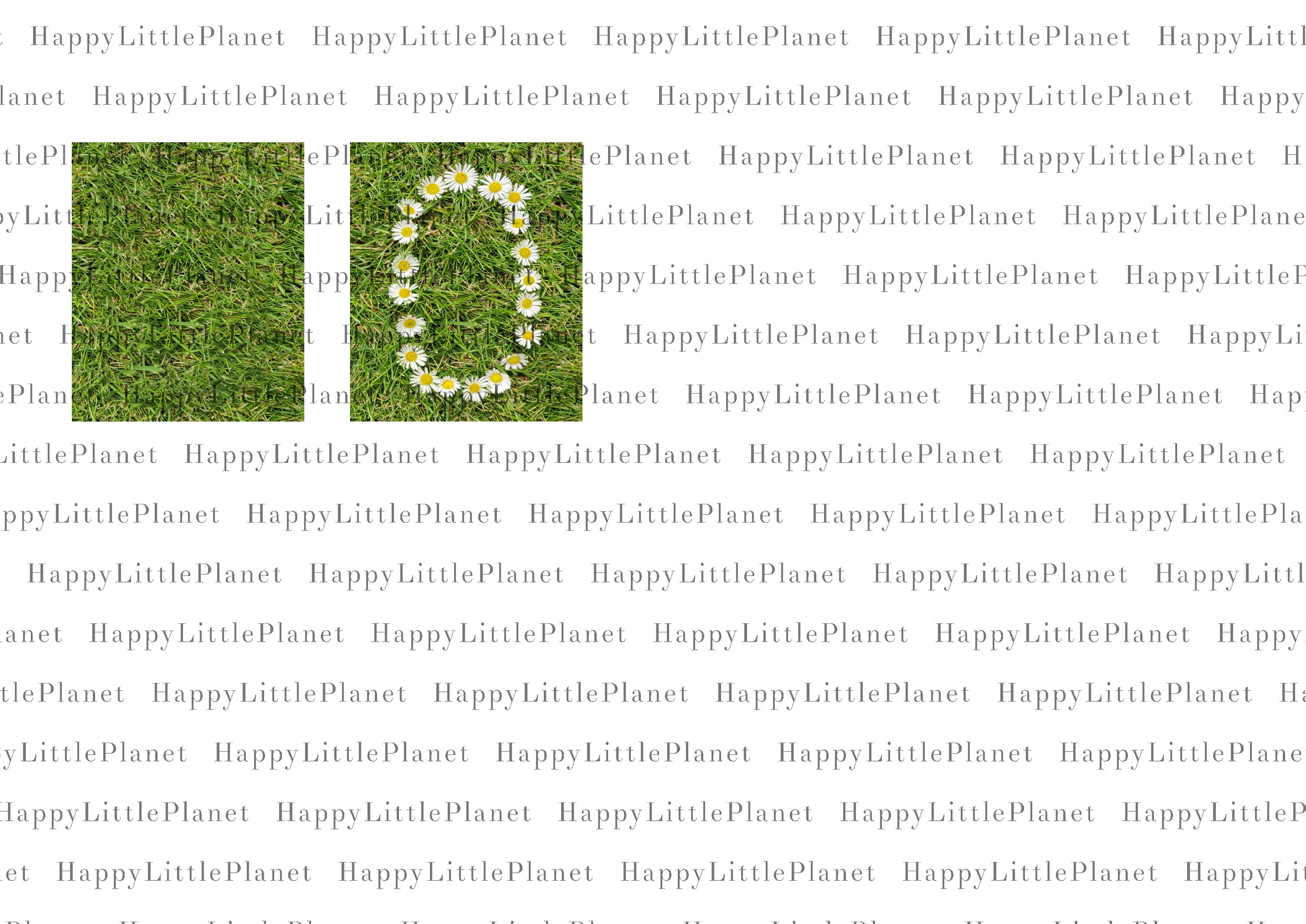 Nature Numbers 0 10 Daisy Summer Theme Early Years Maths Printable EYFS ...