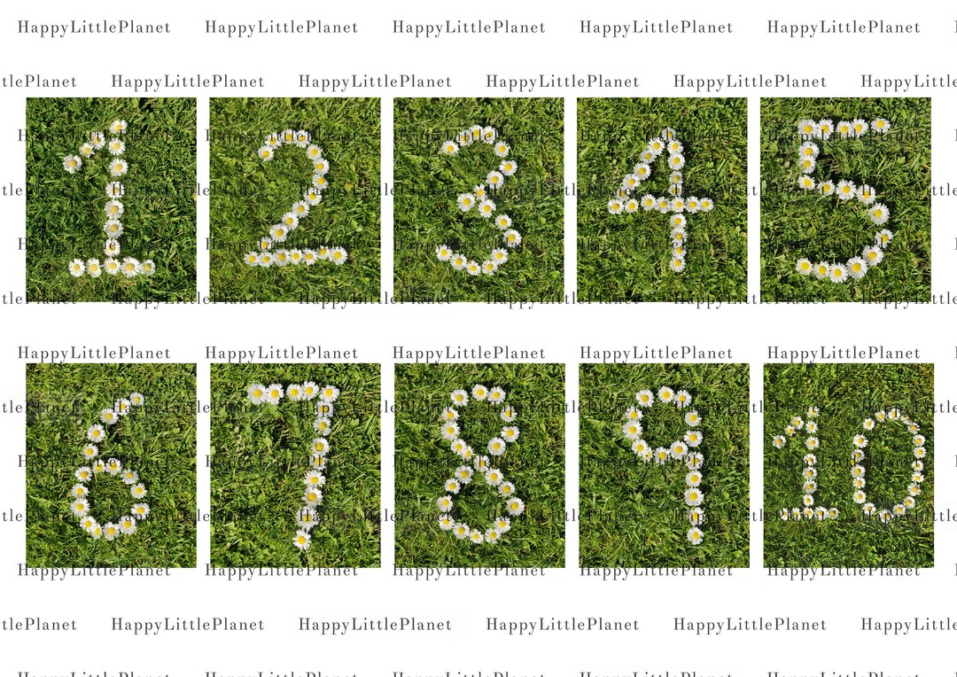 Nature Numbers 0 10 Daisy Summer Theme Early Years Maths Printable EYFS ...