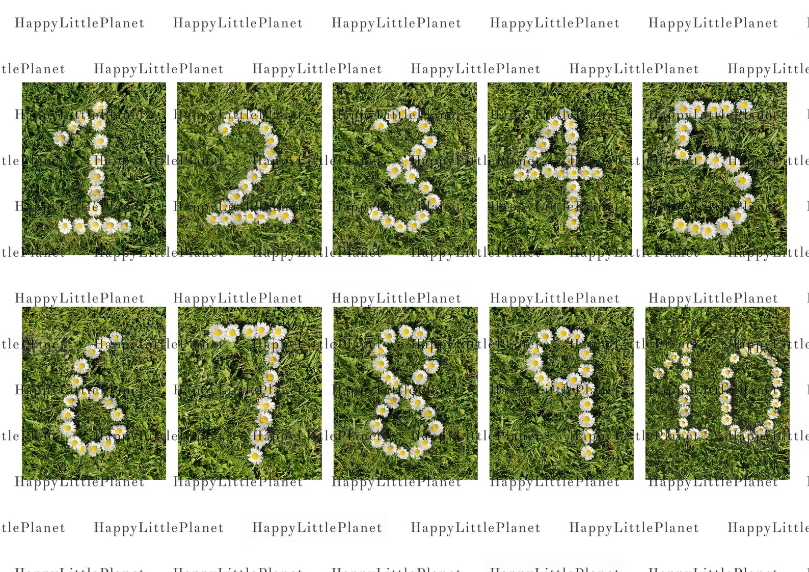 Nature Numbers 0 10 Daisy Summer Theme Early Years Maths Printable EYFS ...