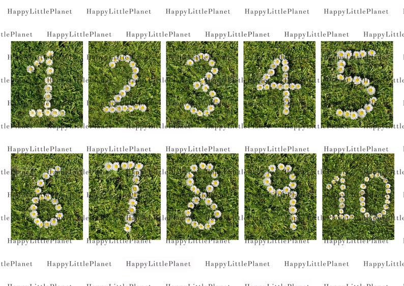Nature Numbers 0 10 Daisy Summer Theme Early Years Maths - Etsy Australia