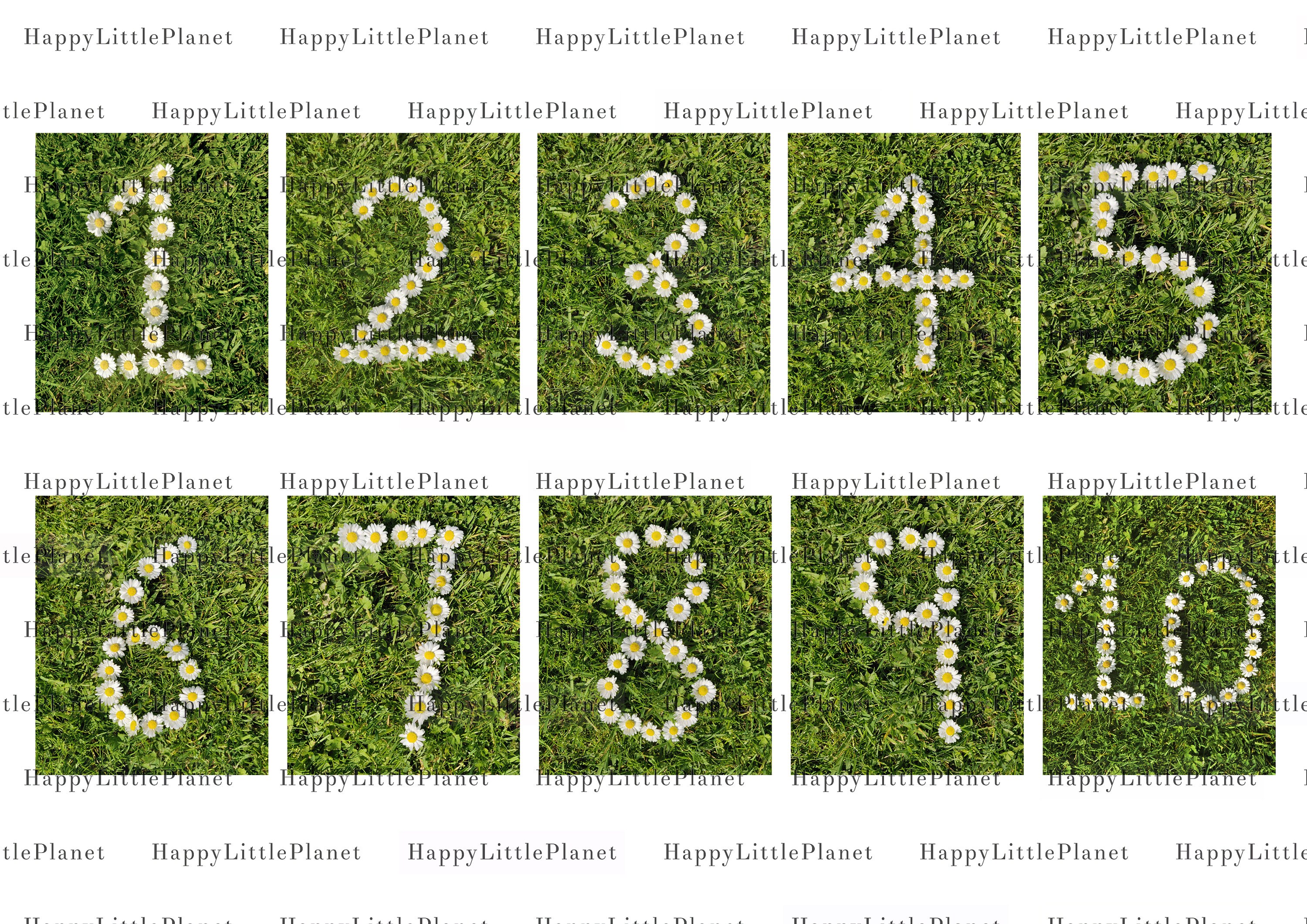 Nature numbers 0 10 daisy summer theme Early Years Maths | Etsy