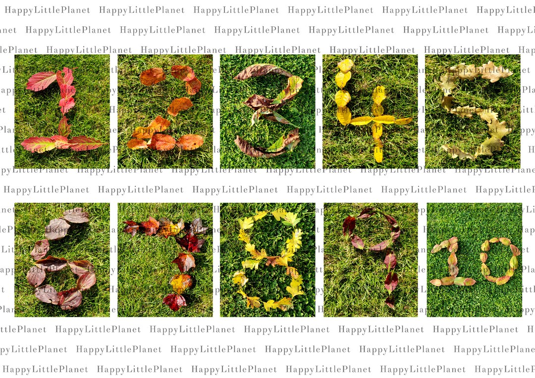 Nature Numbers 0-10 Printable Autumn Themed Early Years Maths EYFS ...