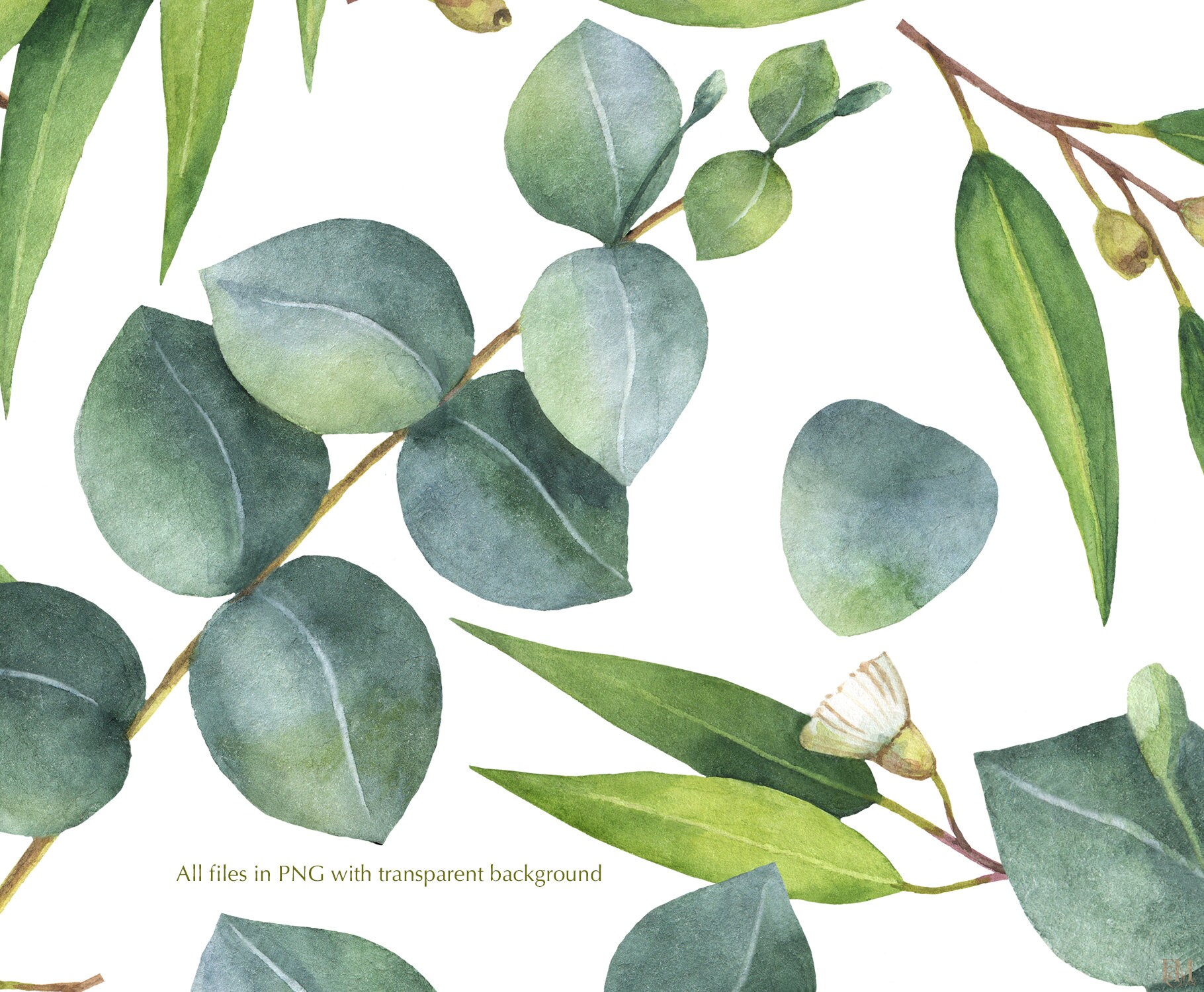 Watercolor Eucalyptus Seamless Pattern. Eucalyptus Fabric | Etsy