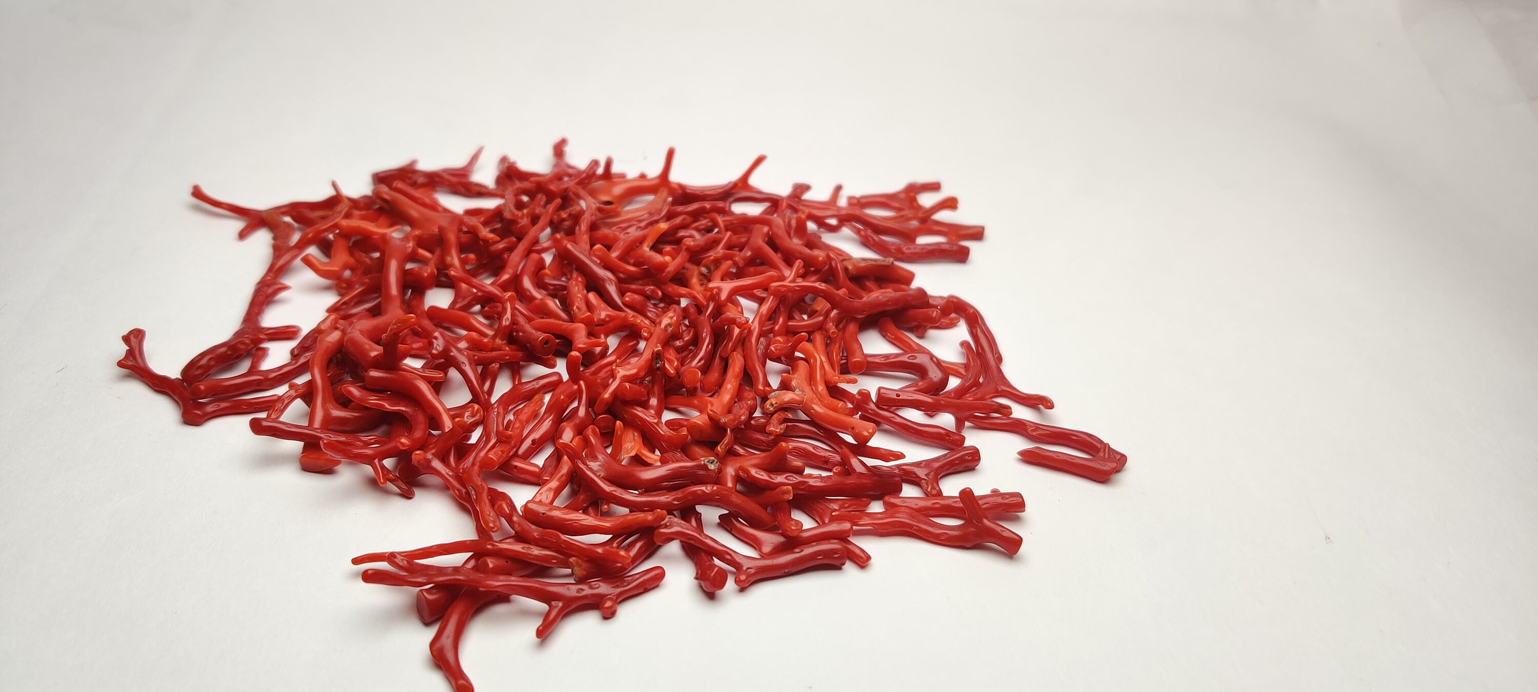 Mediterranean Sea Natural Red Coral Gemstone Reef Italian Red | Etsy