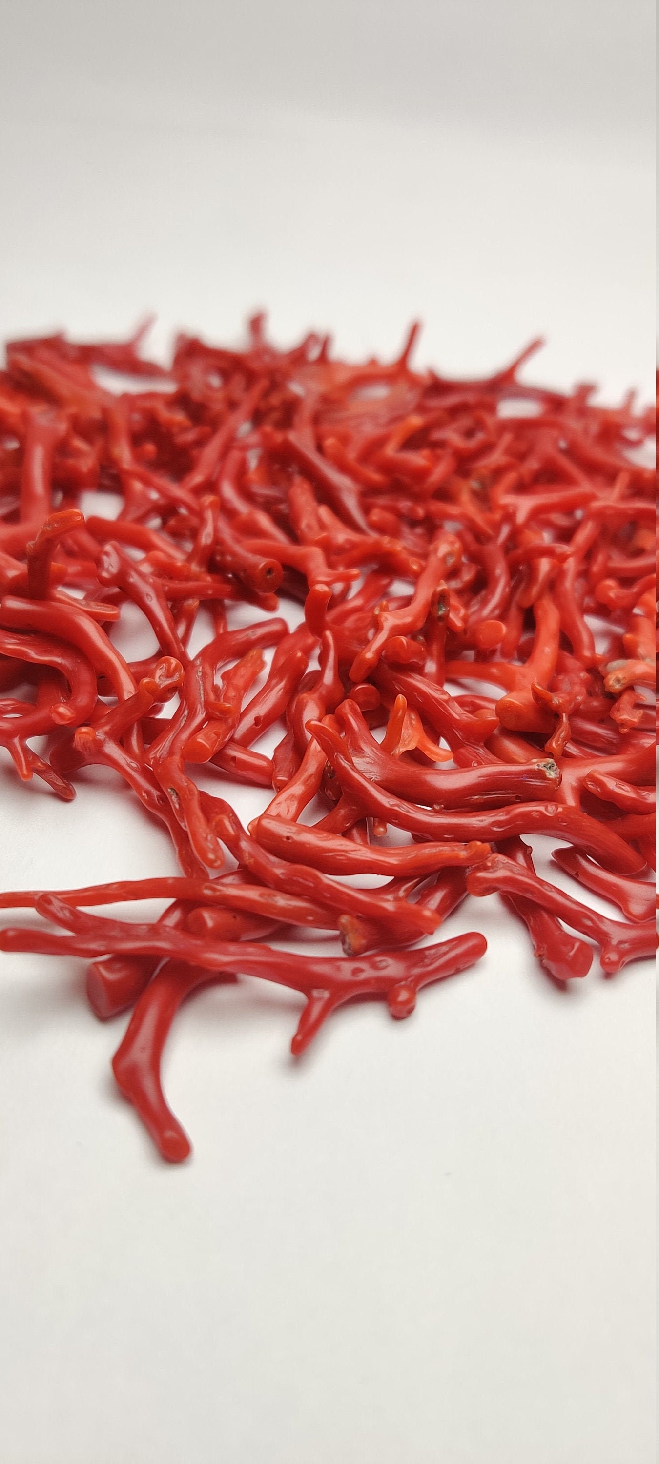 Mediterranean Sea Natural Red Coral Gemstone Reef Italian Red | Etsy