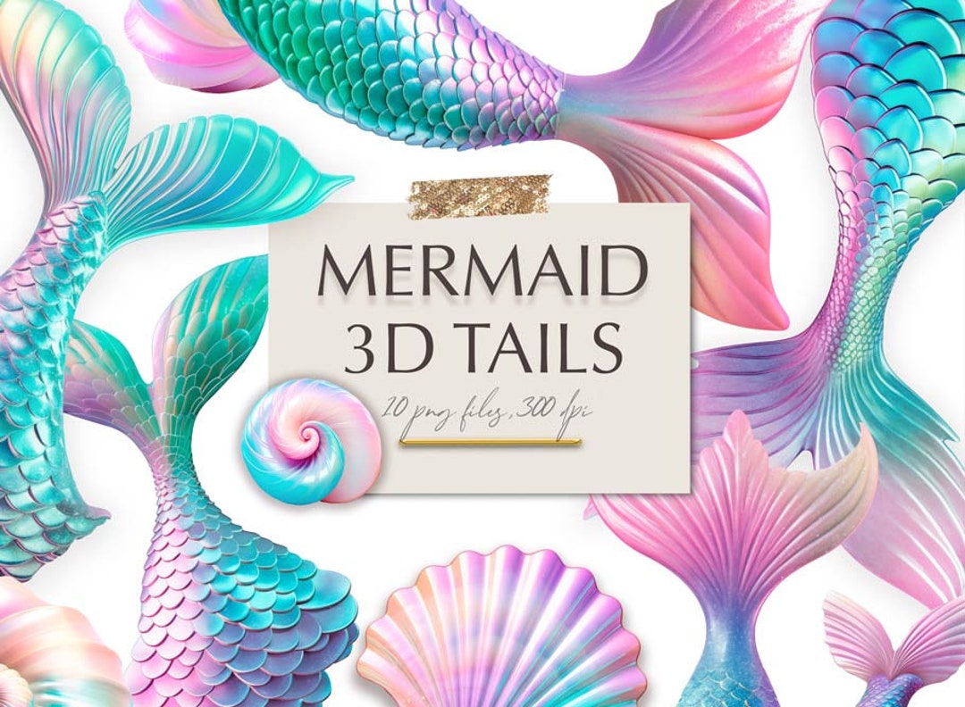 Little Mermaid Tails Clipart , Shells Png, DIGITAL DOWNLOAD - Etsy