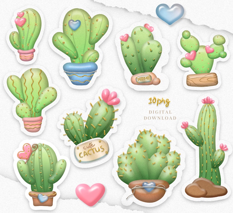Cactus Png Cute Cactus Clipart Succulent Clip Art Digital - Etsy