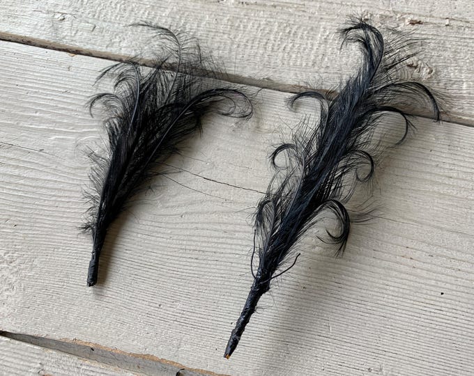 Two Delightful Antique Vintage Millinery Feathers Plumes (ref A-7819/6 ...