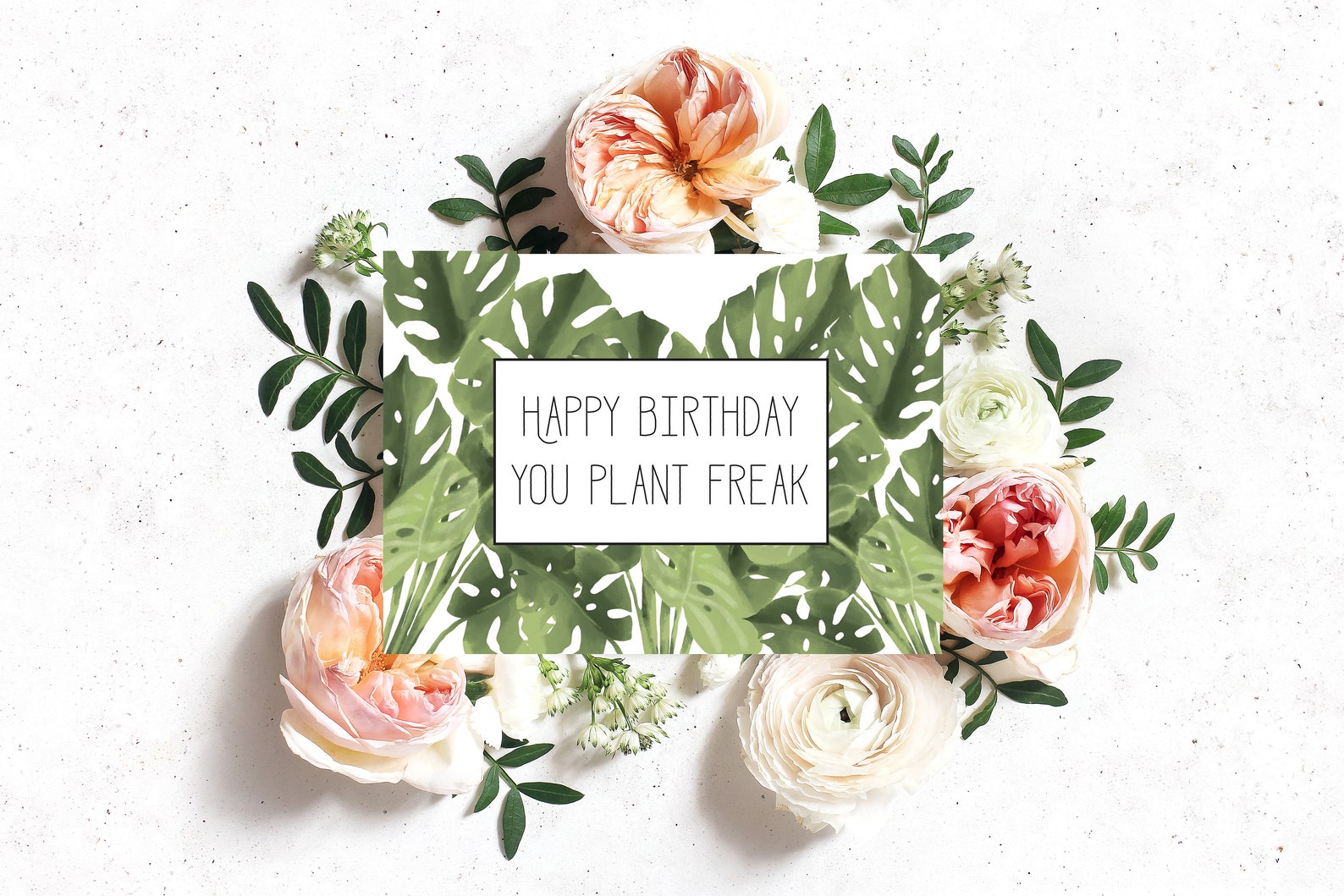 Funny Birthday Card, Plant Lovers Gift, Happy Birthday You Plant Freak ...