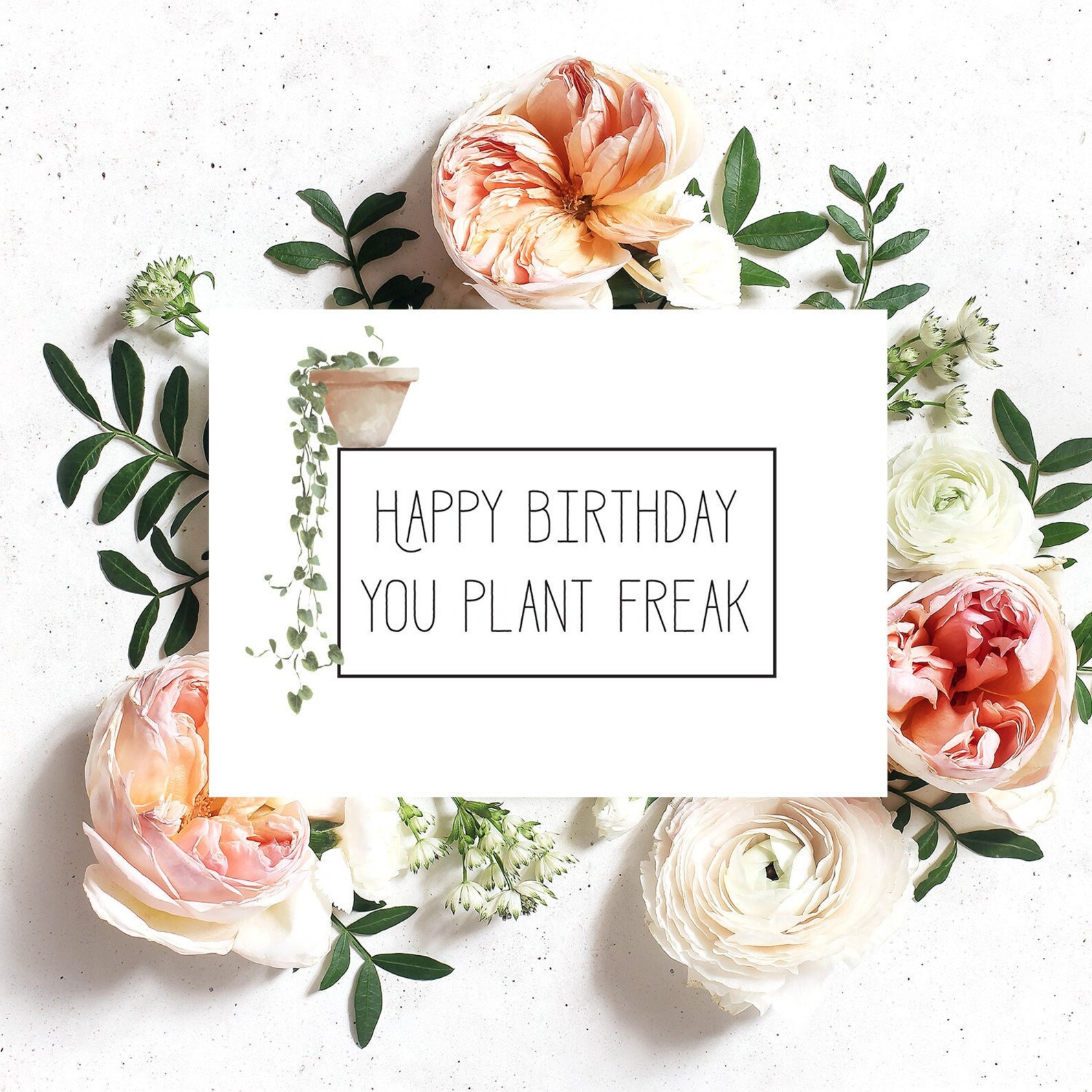 Funny Birthday Card | Plant Lovers Gift | Happy Birthday You Plant ...