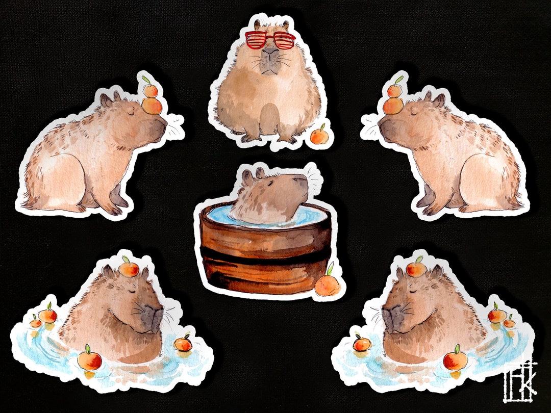 Capybara Sticker Set - Matte or Glitter Stickers - Etsy Canada