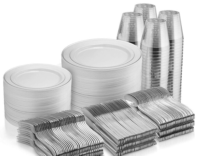 600 Piece Silver Dinnerware Set 200 Silver Rim Plates 300 | Etsy