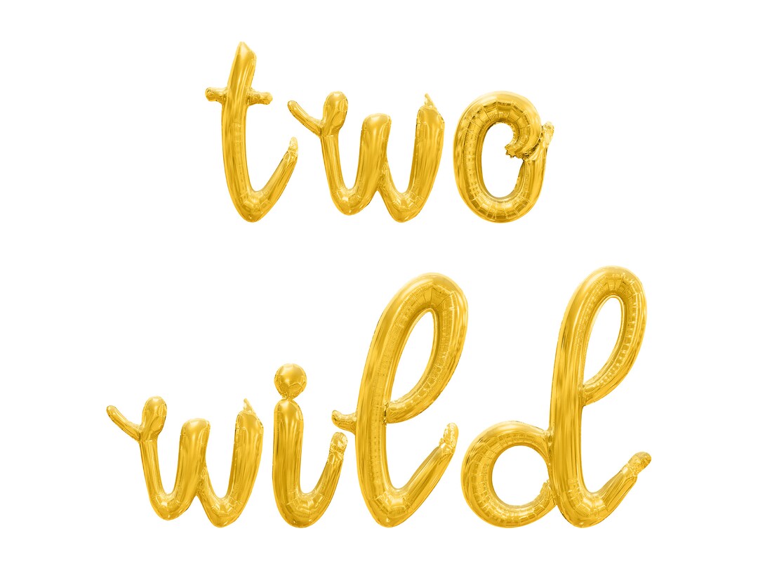 TWO WILD Cursive Letter Balloon Banner - Gold, Rose Gold & Silver Party Decorations - 2nd ...