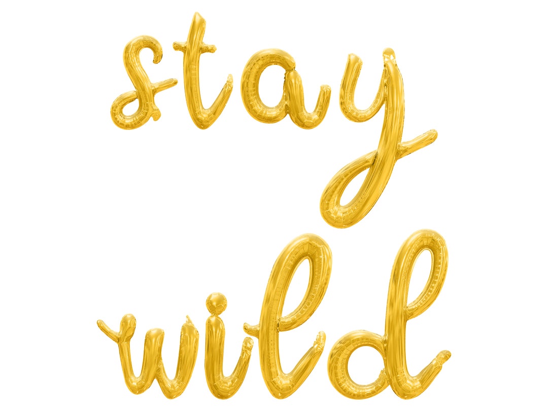 STAY WILD Cursive Letter Balloon Banner - Gold, Rose Gold & Silver ...