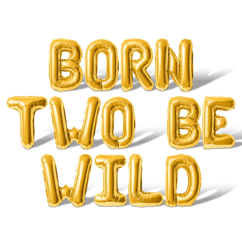 Wild One Balloon - Etsy