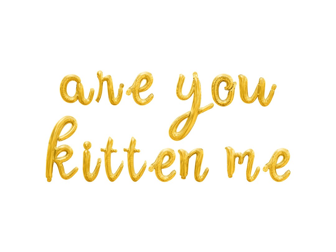 Are You Kitten Me Cursive Script Letter Balloon Banner - Gold, Rose ...