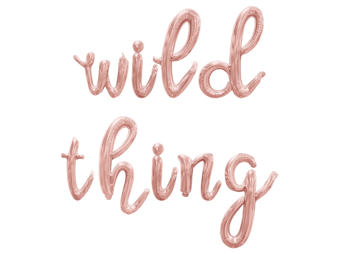 WILD THING Cursive Letter Balloon Banner - Gold, Rose Gold & Silver ...