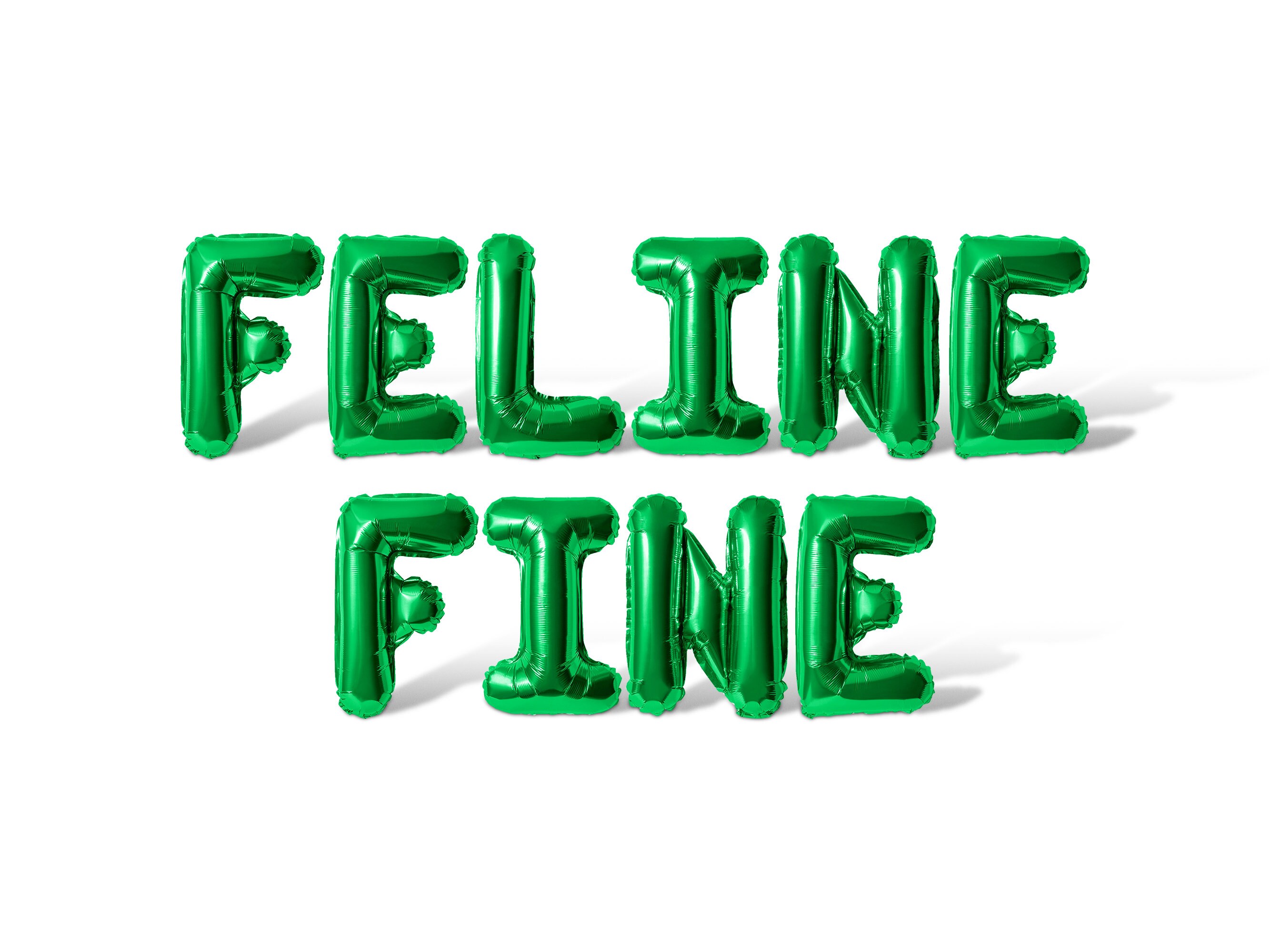 FELINE FINE Letter Balloon Banner - 10 Color Options - Bachelor ...
