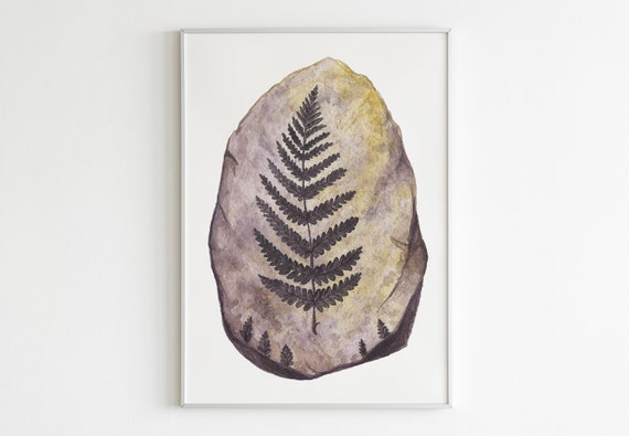 Plant Fossil Drawing