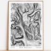 Mount Etna Map Print | Italian Volcano Mountain Wall Art - Elevation ...