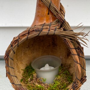 Ladle Gourd Sconce With Pine Needles - Etsy
