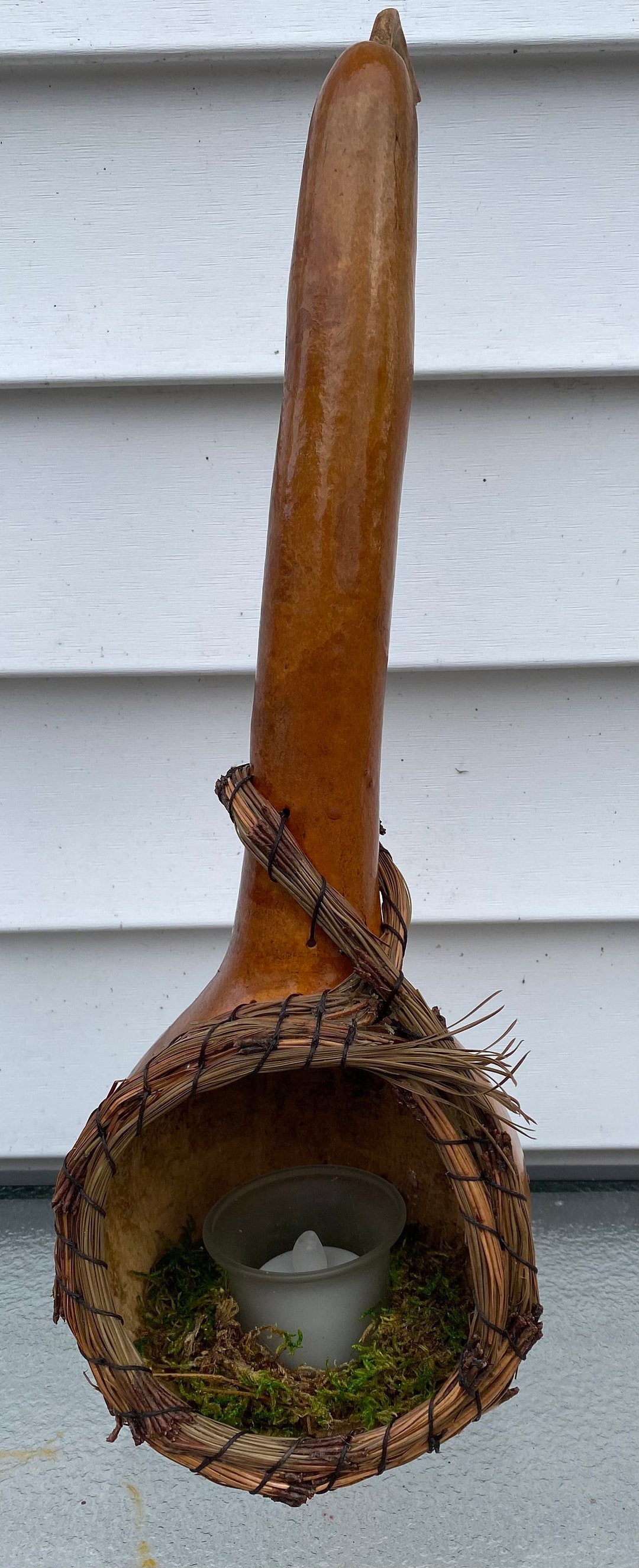 Ladle Gourd Sconce With Pine Needles - Etsy
