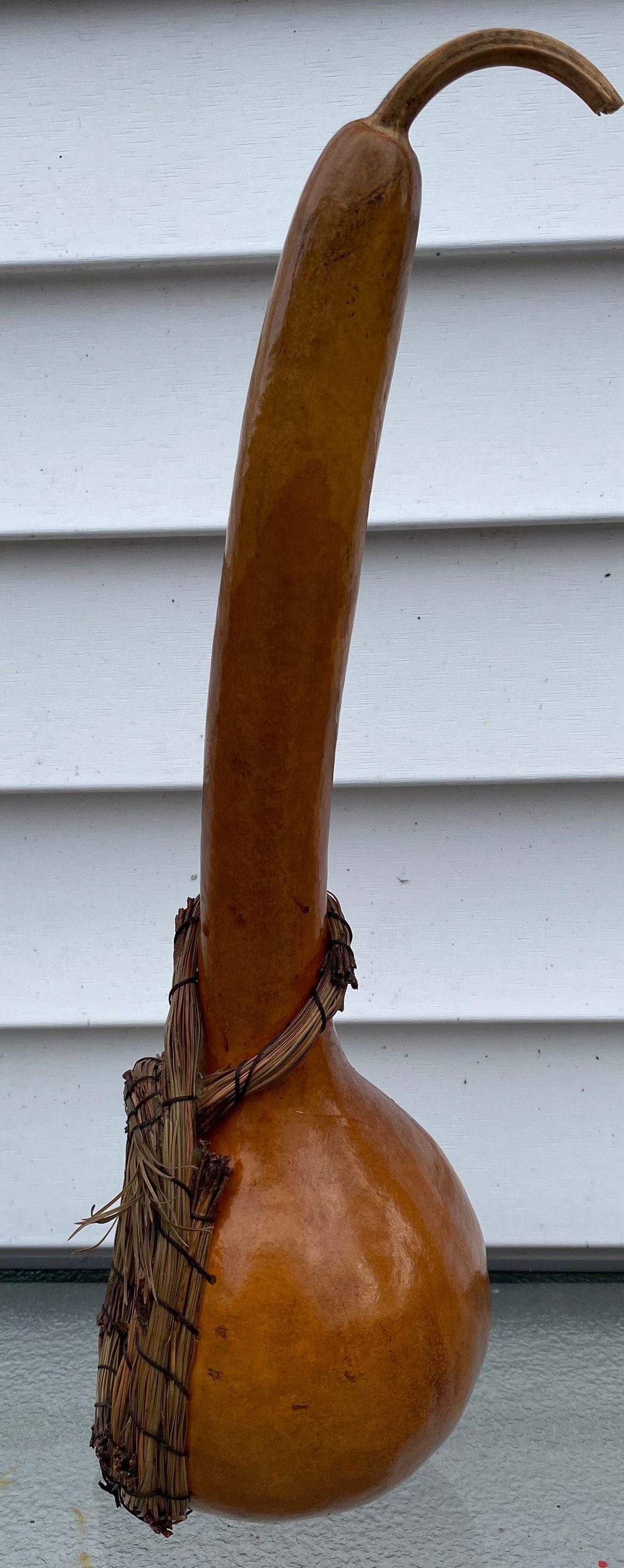 Ladle Gourd Sconce With Pine Needles - Etsy