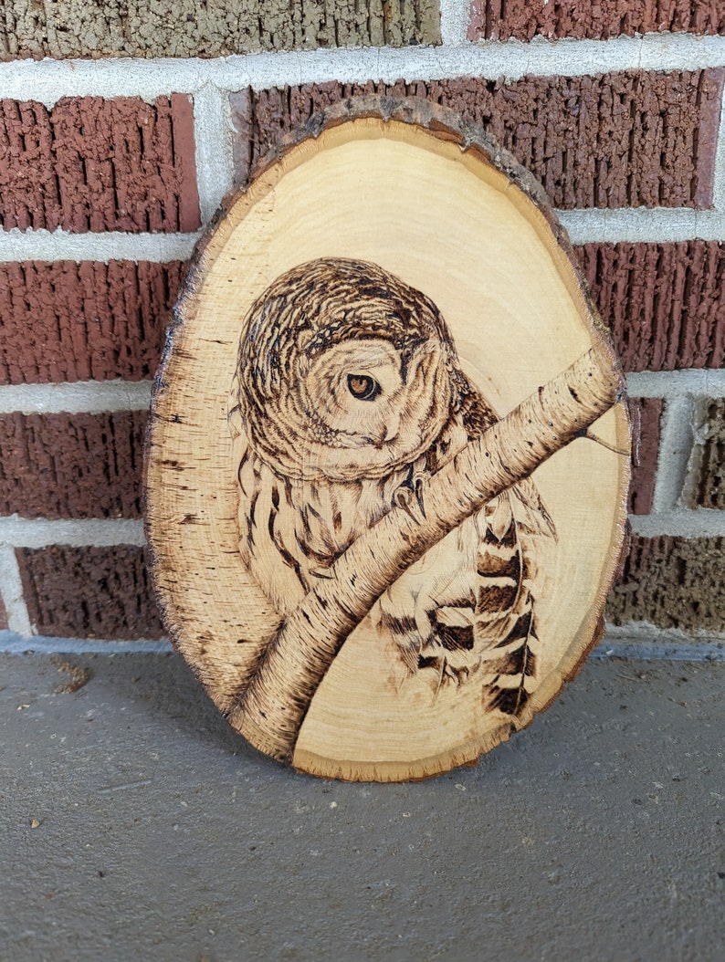 Barred Owl Pyrography - Etsy