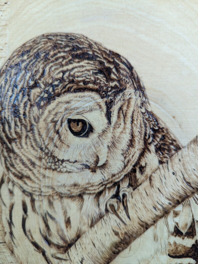 Barred Owl Pyrography - Etsy