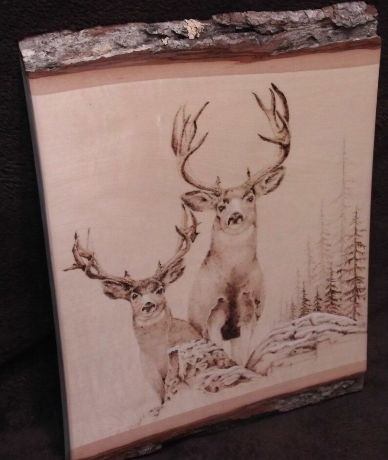 Mule Deer Pyrography - Etsy