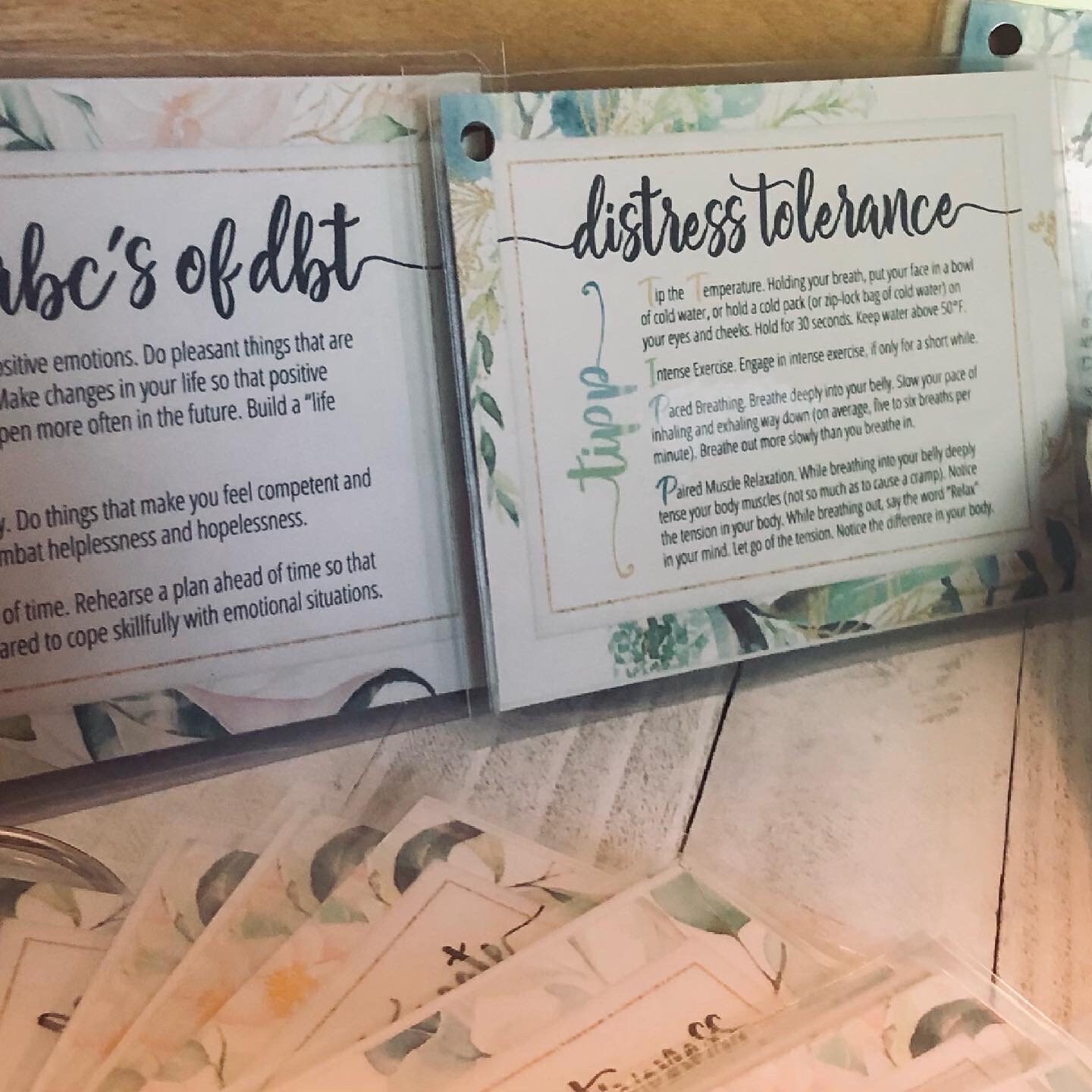 DBT Skills Flashcards and DBT Skills Carry Case