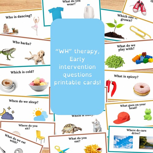 WH Questions ABA Therapy - Etsy