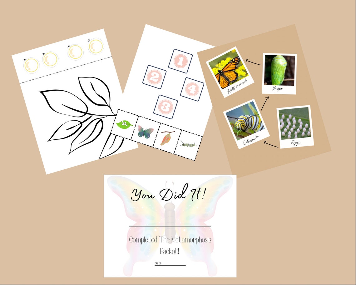 Metamorphosis Life Cycle Butterfly Printable Packet Download - Etsy