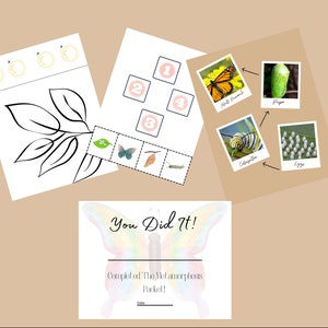 Metamorphosis Life Cycle Butterfly Printable Packet Download - Etsy