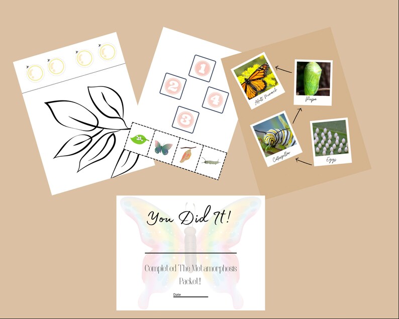 Metamorphosis Life Cycle Butterfly Printable Packet Download - Etsy
