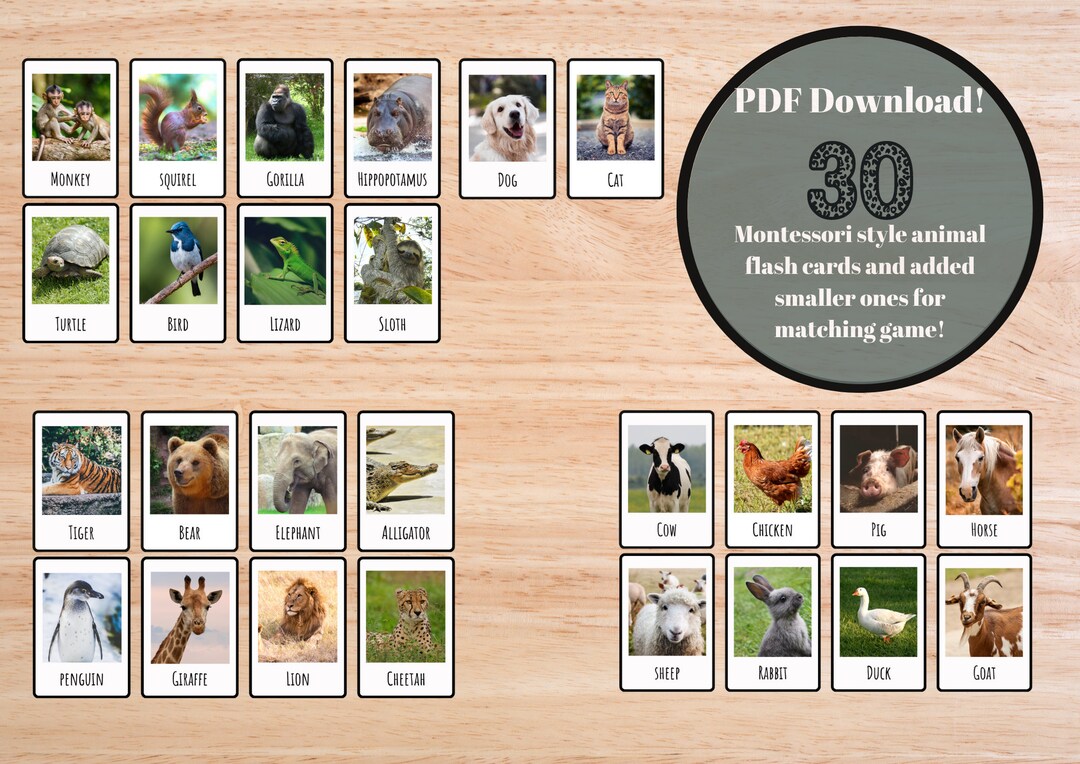 Montessori Animal Flash Cards and Matching Game - Etsy