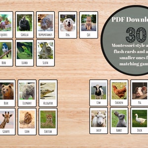 Montessori Animal Flash Cards and Matching Game - Etsy