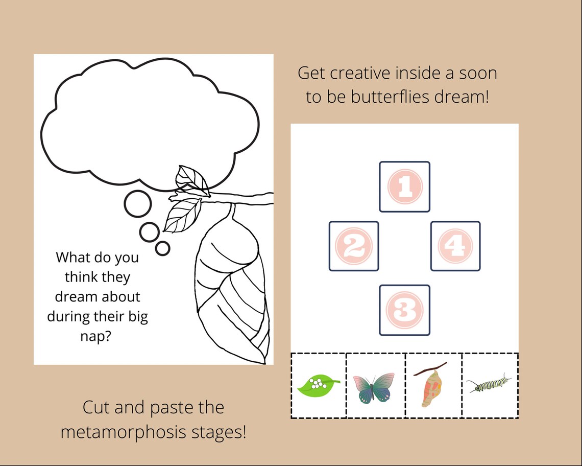 Metamorphosis Life Cycle Butterfly Printable Packet Download - Etsy