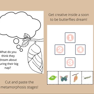 Metamorphosis Life Cycle Butterfly Printable Packet Download - Etsy