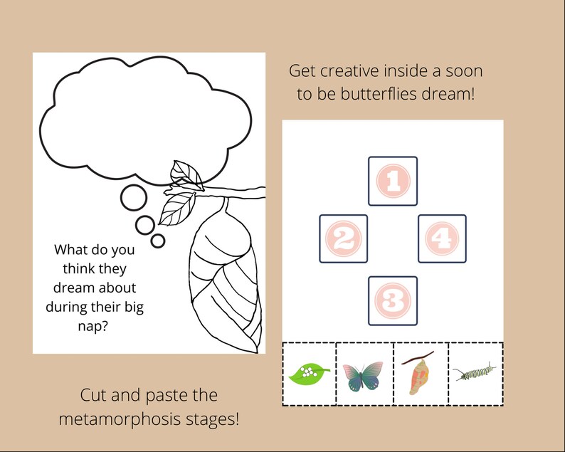 Metamorphosis Life Cycle Butterfly Printable Packet Download - Etsy