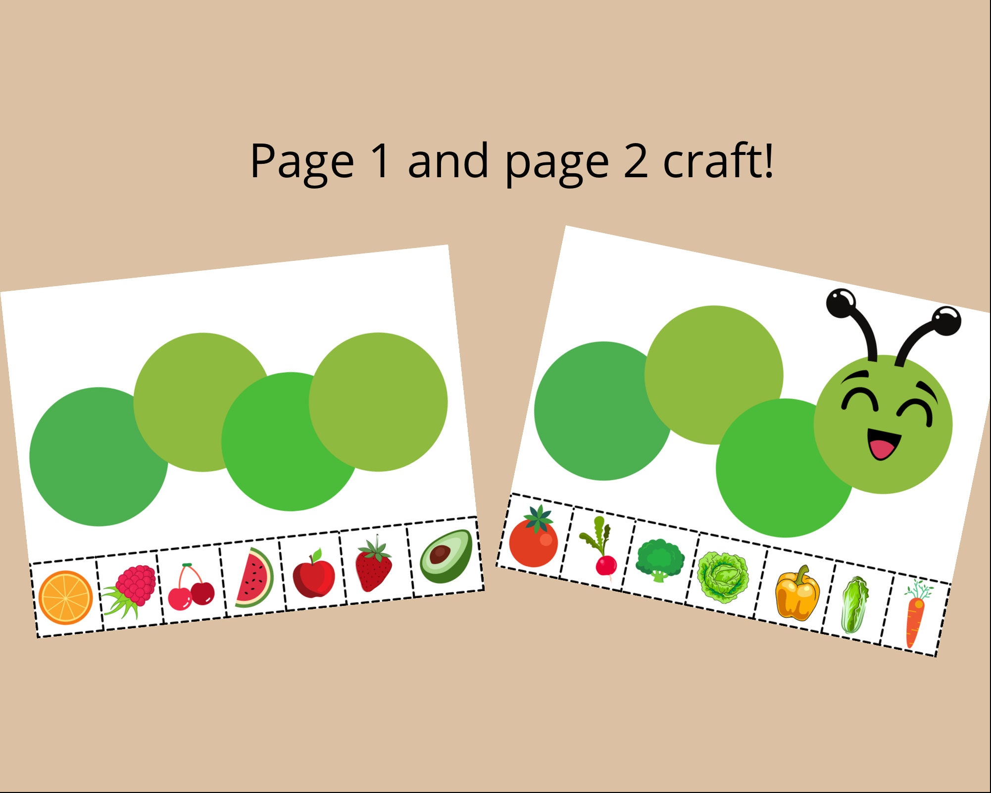 Metamorphosis Life Cycle Butterfly Printable Packet Download - Etsy