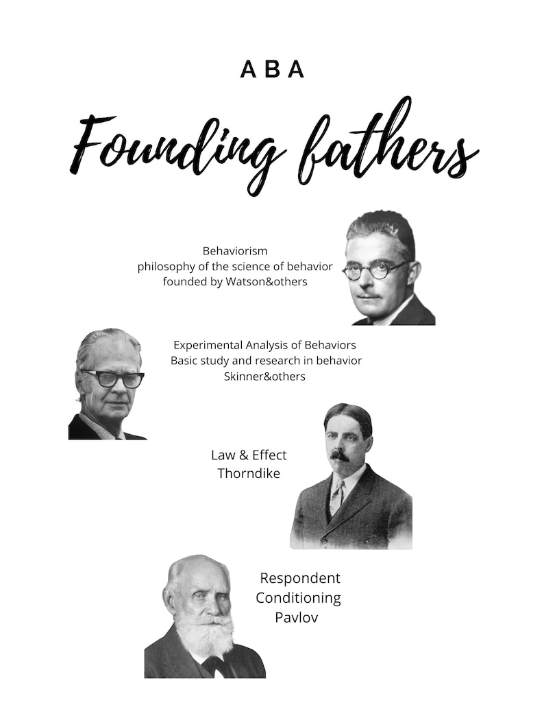 ABAT Exam Study Guide - Etsy