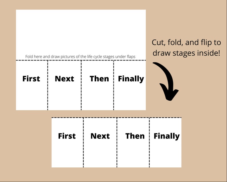 Metamorphosis Life Cycle Butterfly Printable Packet Download - Etsy