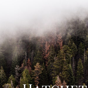 Hatchet Deep Dive: Comprehensive Study Guide & Analysis - Etsy