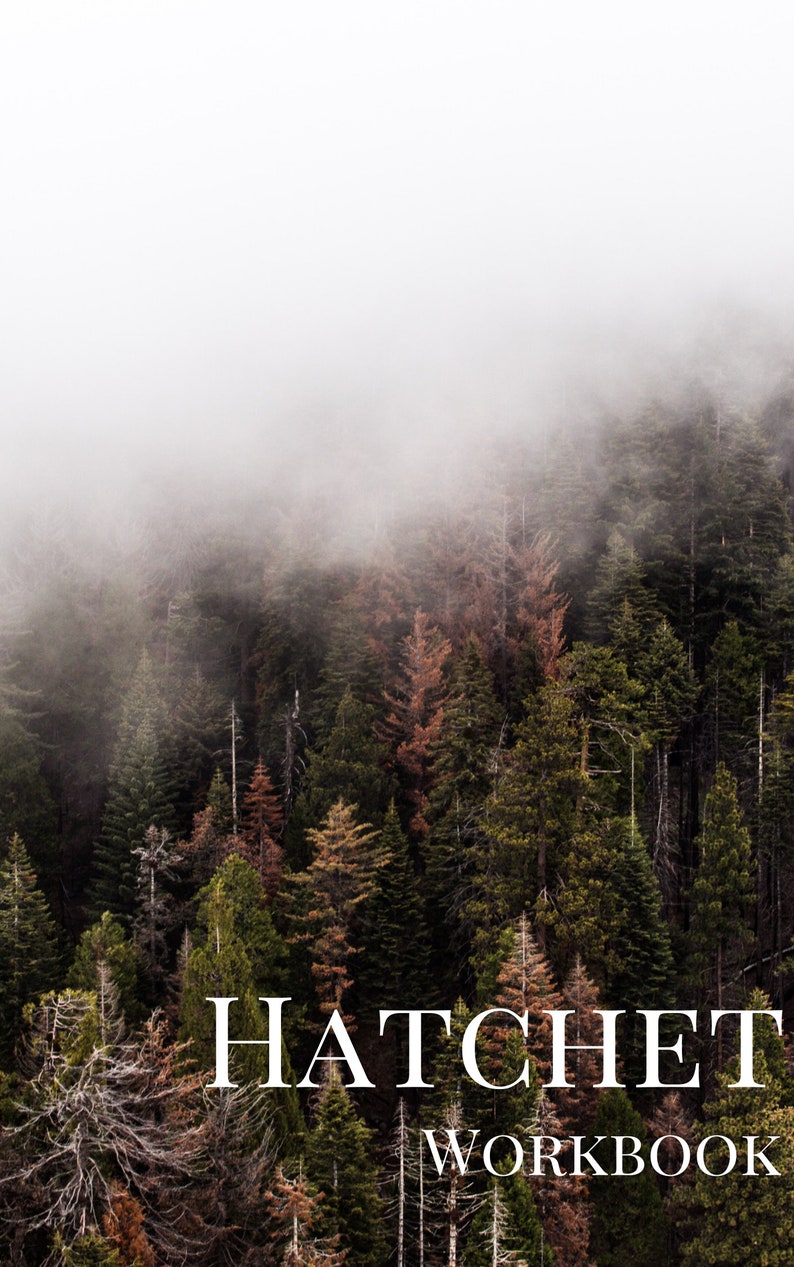 Hatchet Deep Dive: Comprehensive Study Guide & Analysis - Etsy