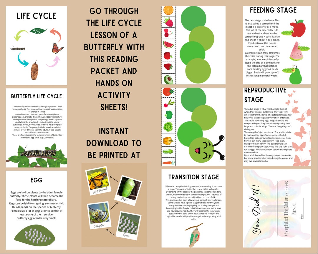 Metamorphosis Life Cycle Butterfly Printable Packet Download - Etsy