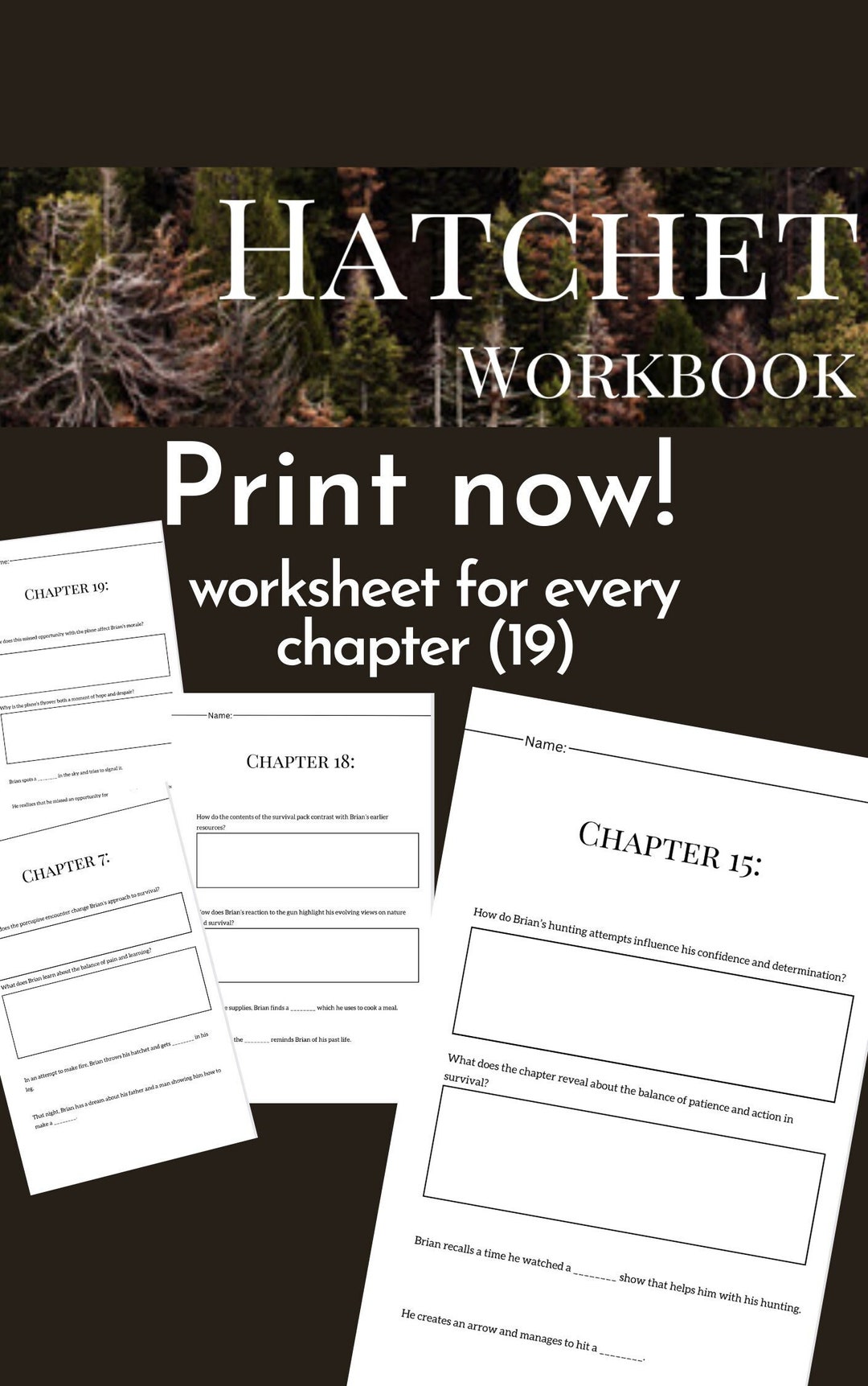 Hatchet Deep Dive: Comprehensive Study Guide & Analysis - Etsy