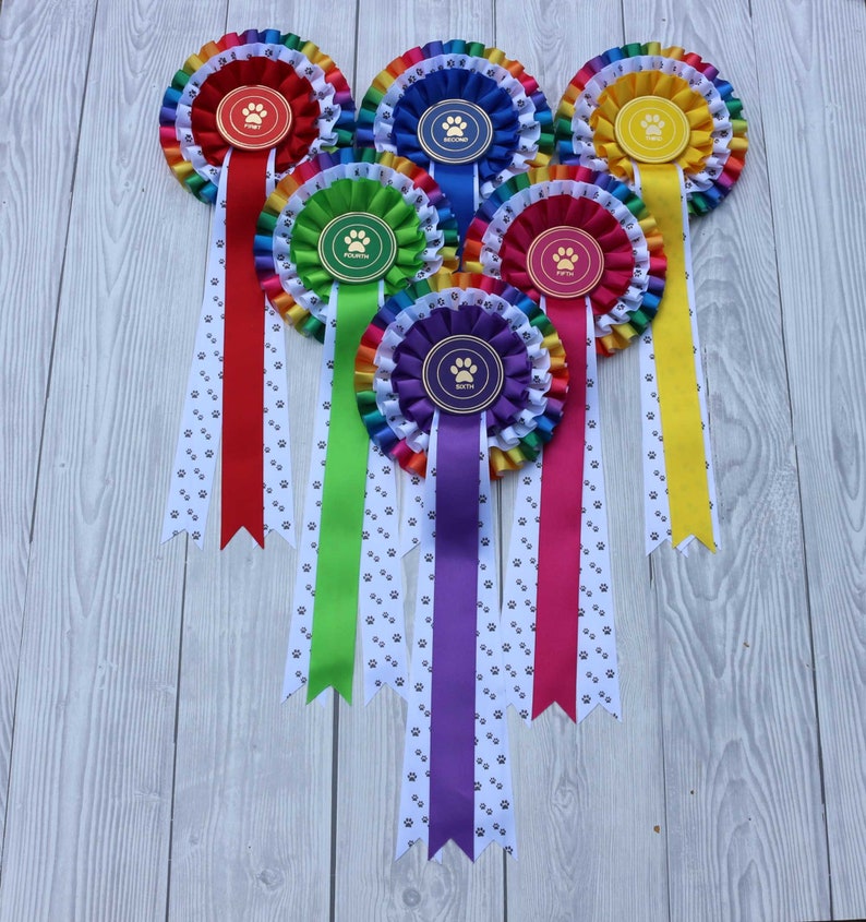 Colourful 3-tier Rosettes in Rainbow Dog Paw and Place | Etsy