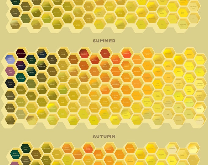 The Pollen Poster 2nd Edition (UK Pollen Identification) by Jem's Bees ...