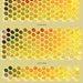 The Pollen Poster 2nd Edition UK Pollen Identification by Jem's Bees ...